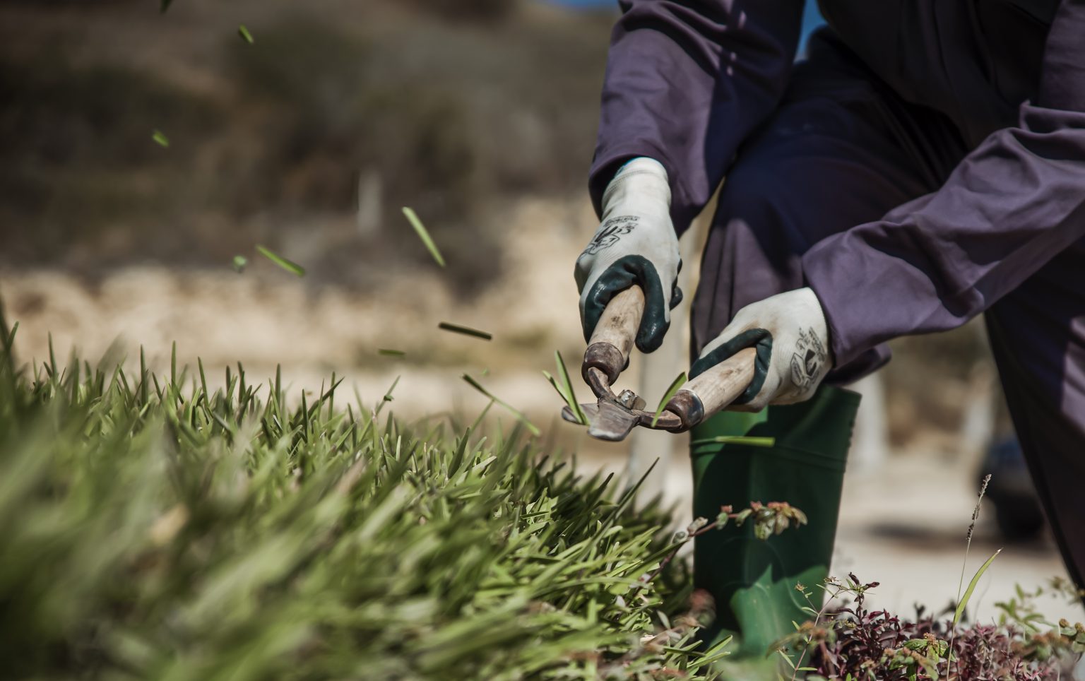 Clean Square – Higiene e limpeza